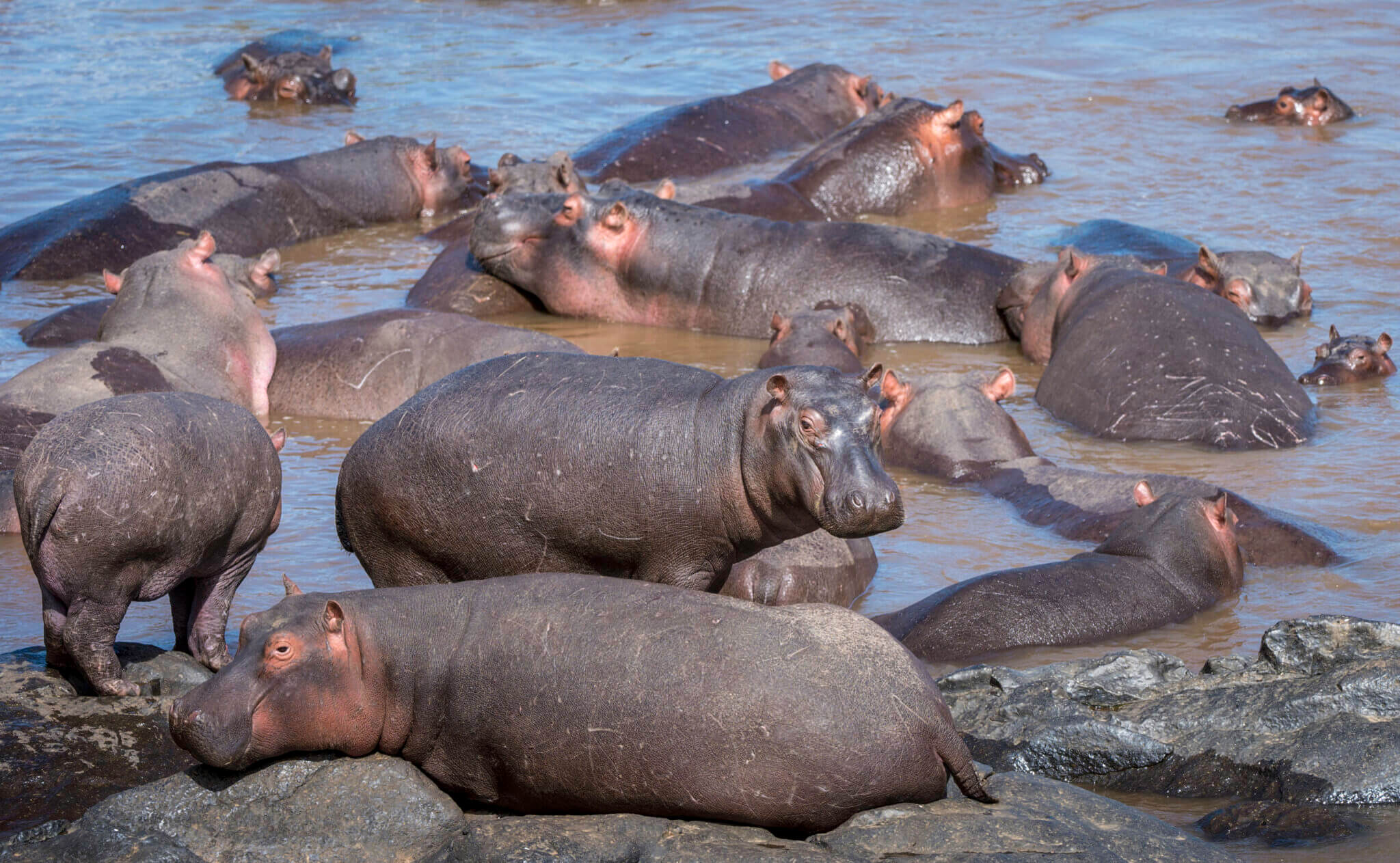 Visual International Relations Project